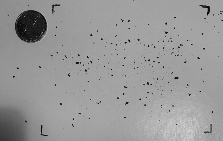 How to Brew Better Coffee with a V60 – Coffee ad Astra