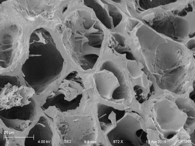 Extracting Shells of Coffee – Coffee ad Astra