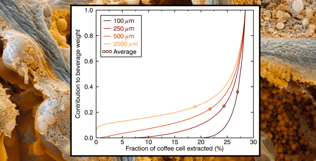 The Dynamics of Coffee Extraction – Coffee ad Astra