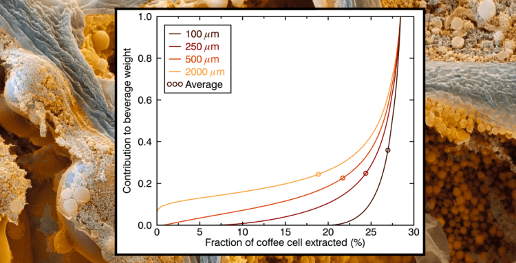The Dynamics of Coffee Extraction – Coffee ad Astra