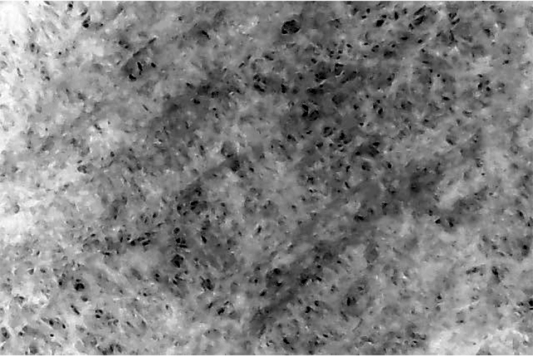 An In-Depth Analysis of Coffee Filters – Coffee ad Astra