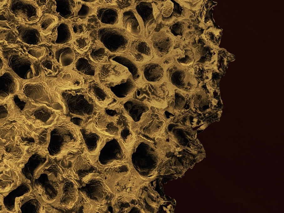 Pulling Low-Fines Espresso Shots – Coffee ad Astra